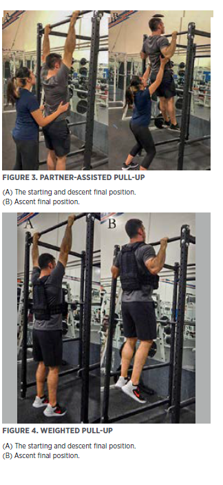 Circuit Strength Training with Ability-Based Modifications for Law ...