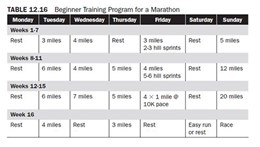 How To Create A Workout Plan For Athletes Kayaworkout co