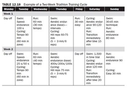 Aerobic Endurance Swim Workout EOUA Blog